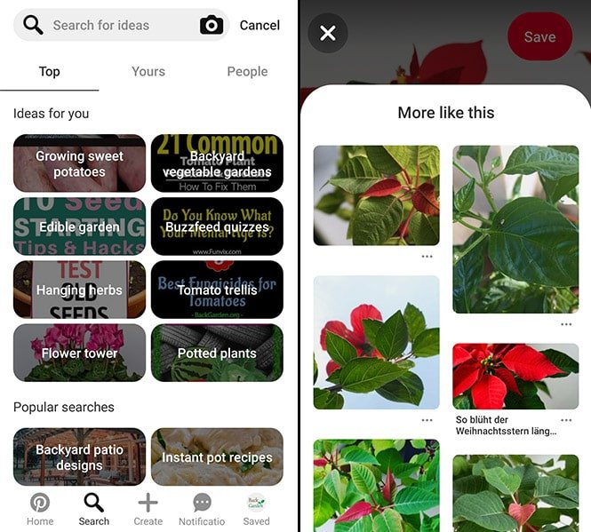 9 Best Free Plant Identification Apps For Android IOS 2022 