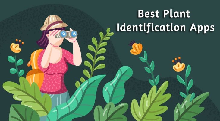 9 Best Free Plant Identification Apps For Android IOS 2022 